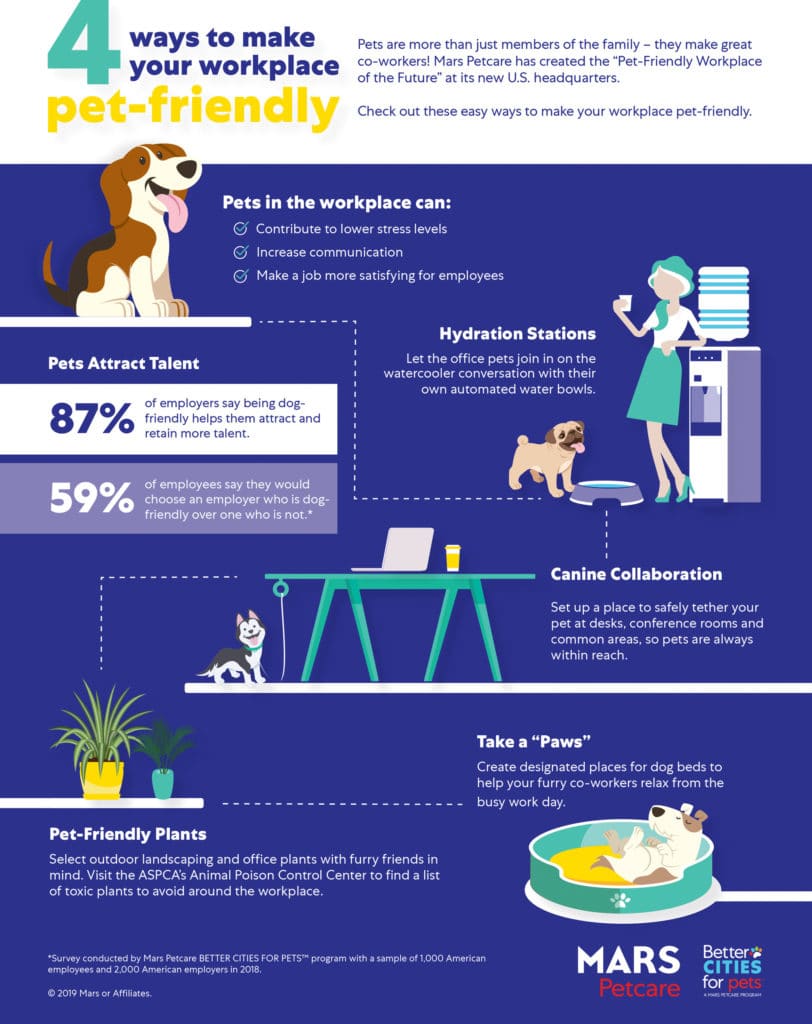 How can I create a dog friendly workplace? - Barx Parx Foundation